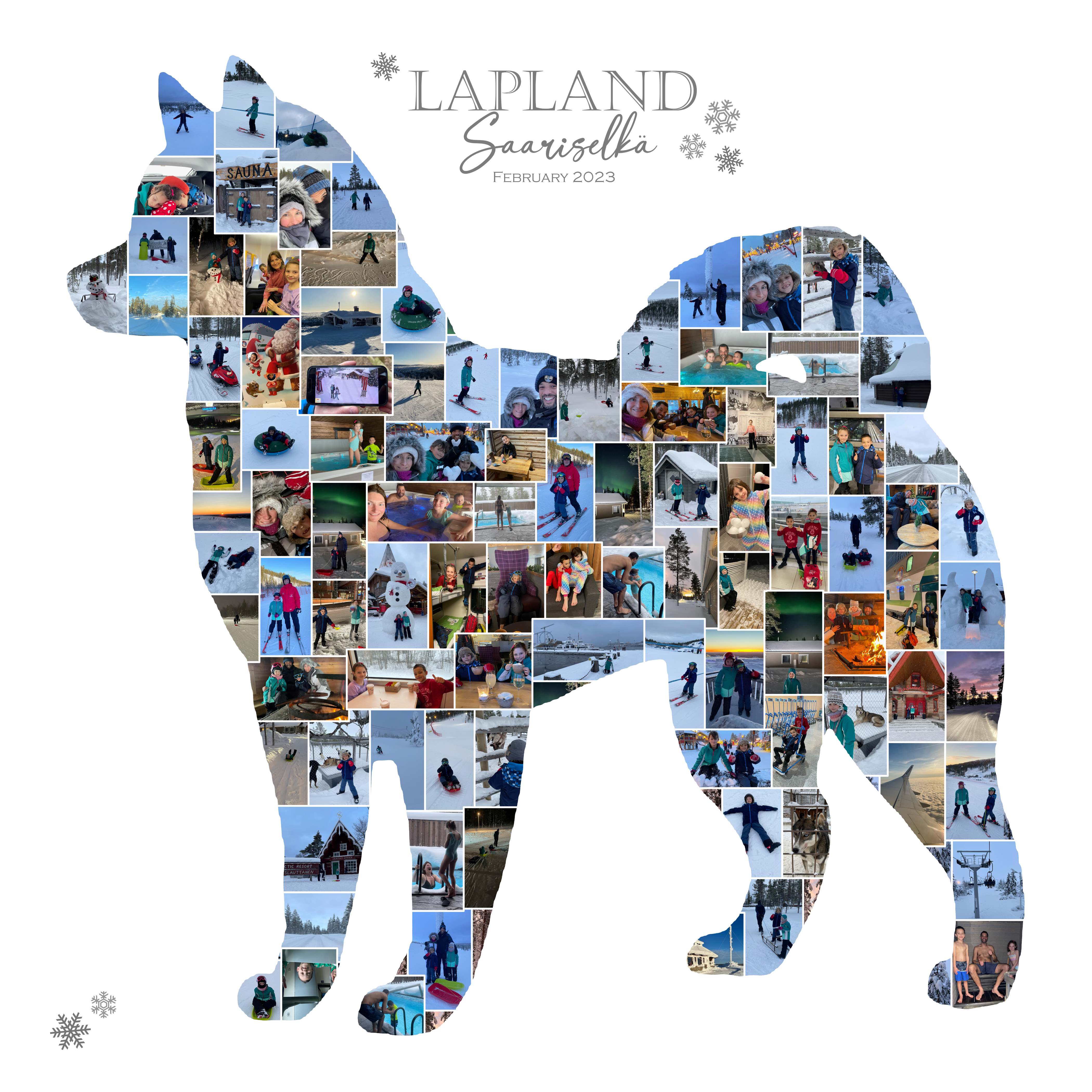 Husky Collage – hayleyjanedesigns