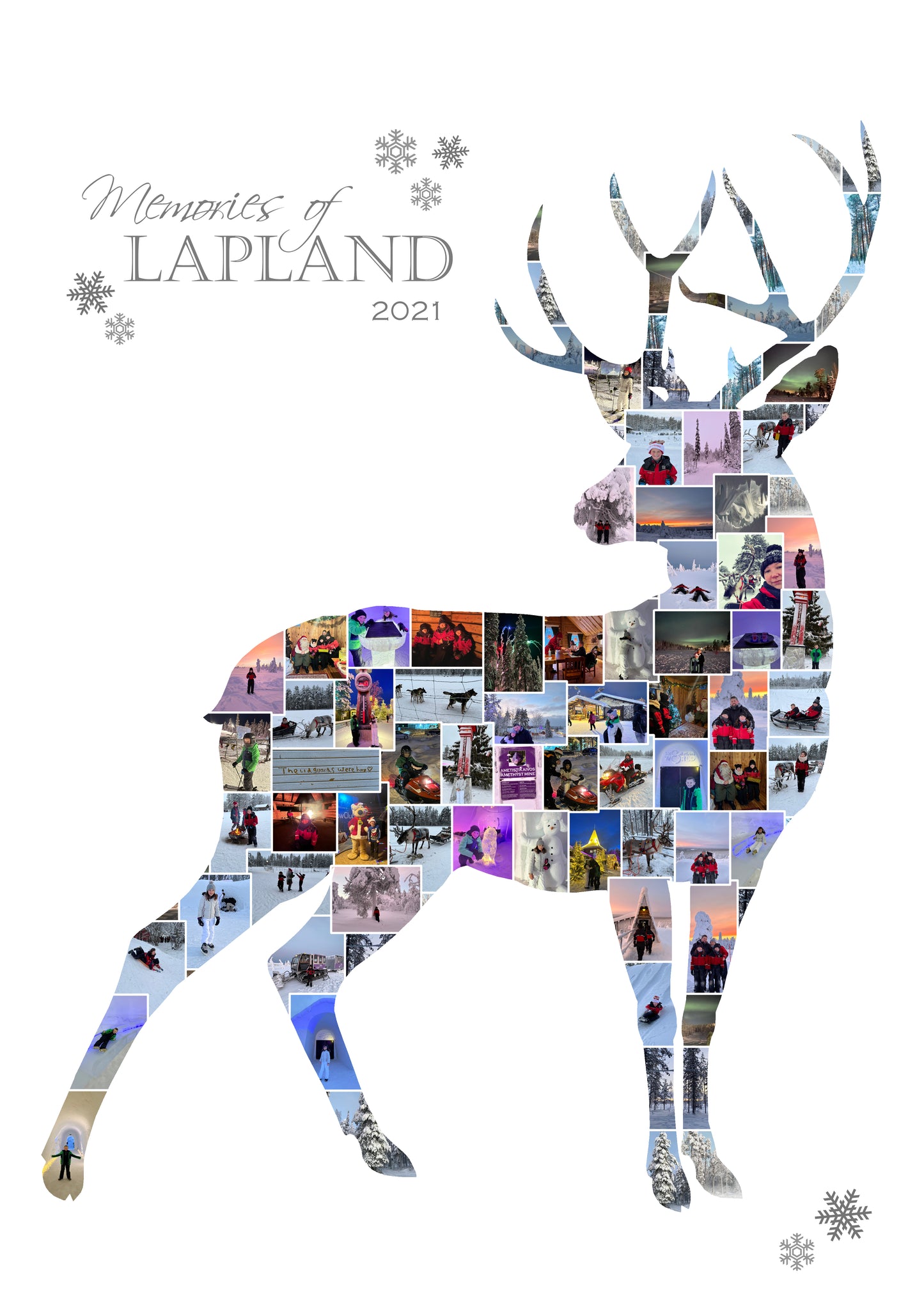 Stag Collage – hayleyjanedesigns